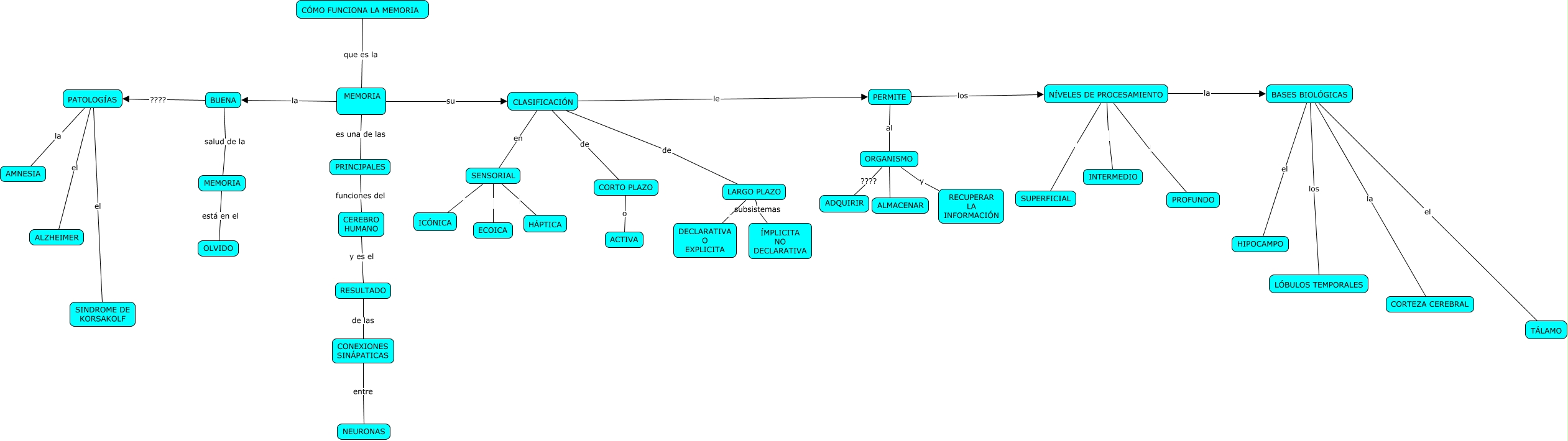 CÓMO FUNCIONA LA MEMORIA